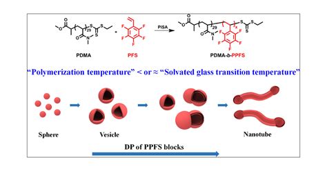 What Determines The Formation Of Block Copolymer Nanotubes Macromolecules