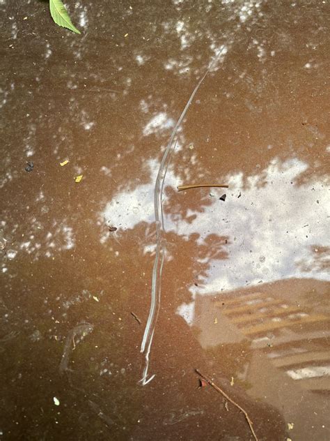 Г н Vassil Terziev иска ми се да поработите сериозно върху комуникацията и намерите десетките