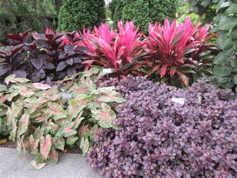 Visit To Cbg Rotary Botanical Gardens