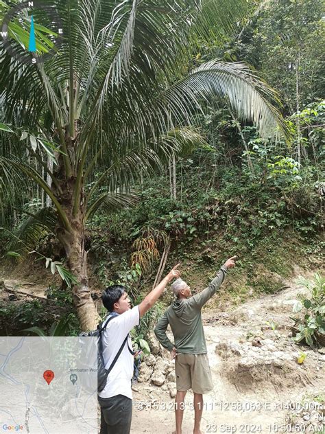 Restu Widian Hidayah On Linkedin Survey Dan Monitoring Farmer Gula