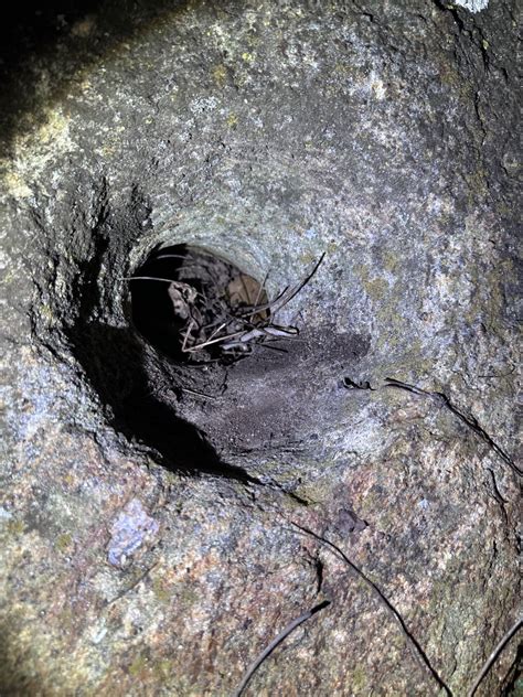 Not An Arrowhead But Does Anyone Know What This Is R Arrowheads