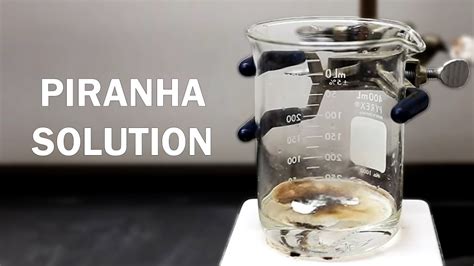 Piranha Solution Alchetron The Free Social Encyclopedia