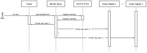 high level schema of the first connection between the remote source of