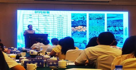 暑期社会实践最江南醉柯桥 团委