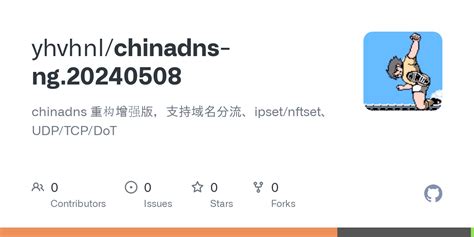 Github Yhvhnl Chinadns Ng 20240508 Chinadns 重构增强版，支持域名分流、ipset Nftset、udp Tcp Dot