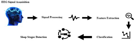 Steps Of Eeg Signal Analysis And Sleep State Detection Download Scientific Diagram