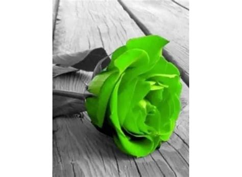 Rita Mcclain Obituary 2025 Medford Or Conger Morris Funeral Directors Medford