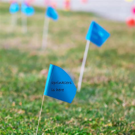 Zozen 50pack Blue Marking Flags Writable 15x4x5 Inch Yard Flags For Lawn