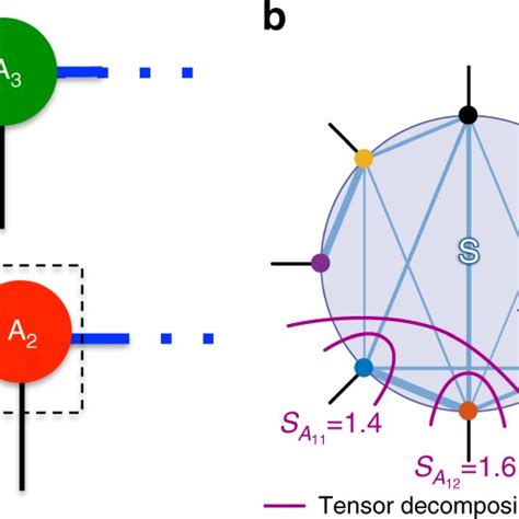 Pdf Tensor Network Simulation Of Multi Environmental Open Quantum