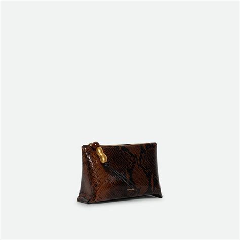 Ida Case Brown Python