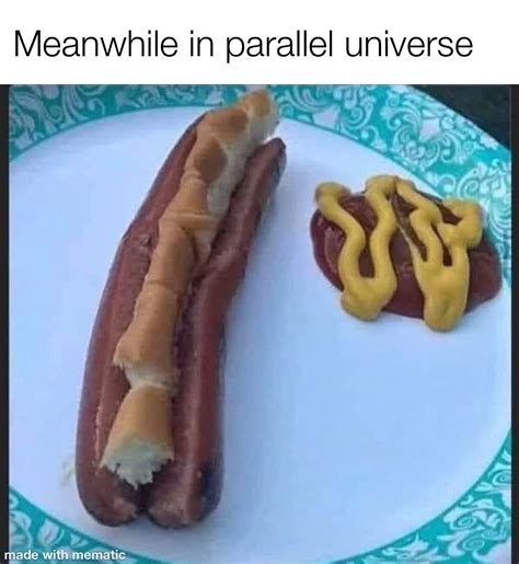 Parallel Universe Meme Chameleon Memes