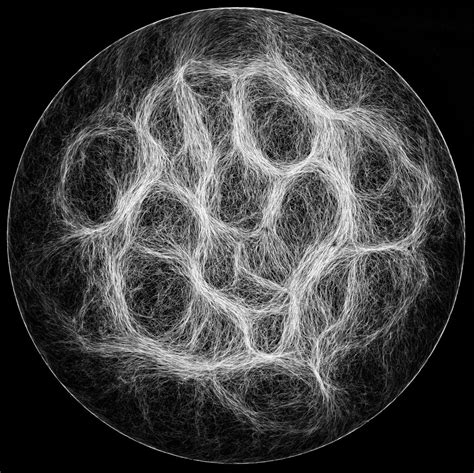 Collective Organization In Cyanobacteria How Earths Oldest Organisms Form “active Spaghetti