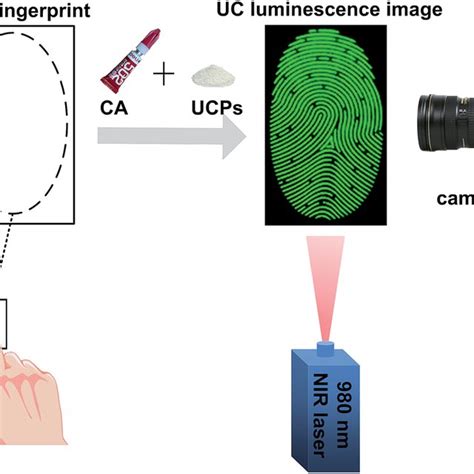 Pdf Synthesis Of Bright Upconversion Submicrocrystals For High Contrast Imaging Of Latent