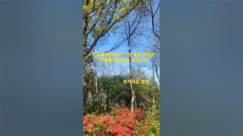 미래를 예측하는 가장 좋은 방법은 미래를 창조하는 것입니다 부자되는 명언 명언 부자 경제적자유 Shorts Youtube