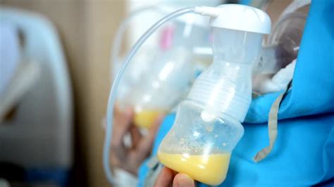 513 Lactating Girl Stock Videos Footage And 4k Video Clips Getty Images