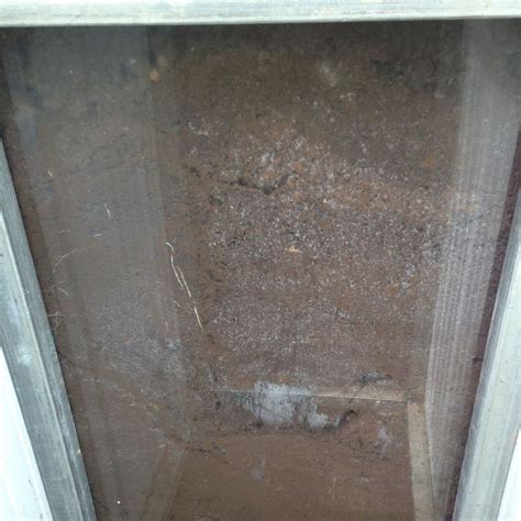 Rhizotrons And Root Windows Vienna Scientific