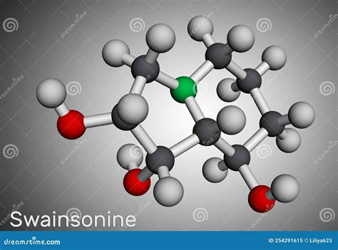 Swainsonine Tridolgosir Molecule It Is Indolizidine Alkaloid From The