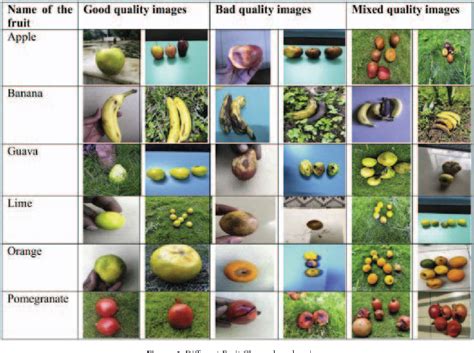 Figure 1 From Automatic Fruit Grading Using Recurrent Neural Networks Semantic Scholar