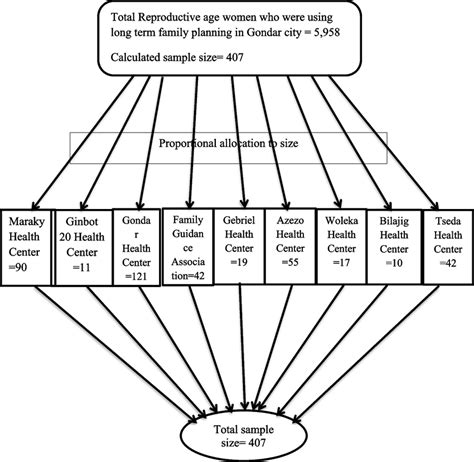 Schematic Presentation Showing The Sampling Procedure And Proportional