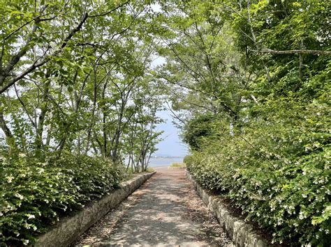 岡山県の釣りポイント㉜ 岡山市新岡山港 市民の森 PUKUTAKU