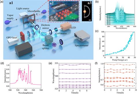 Schematics And Performance Of Wgm Lasing Via A Confocal Microscopy