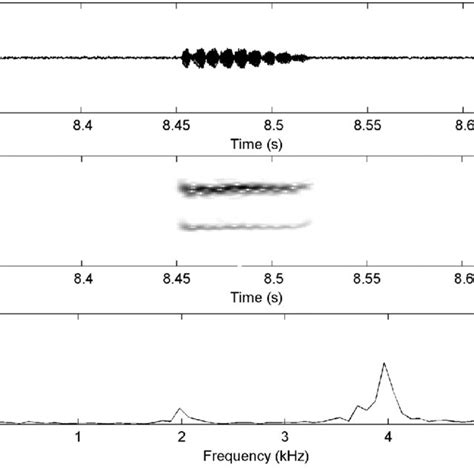 Oscillogram Top Spectrogram Middle And Power Spectrum Bottom Of Download Scientific