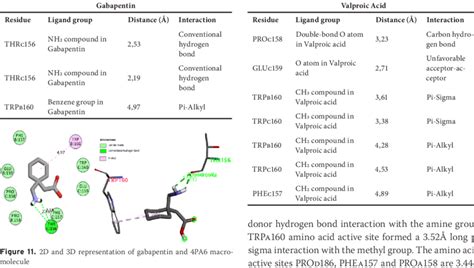 Interactions Types And Distances Between Gabapentin And The 4PA6 Download Scientific Diagram