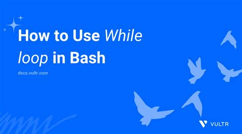 How To Use While Loop In Bash Vultr Docs