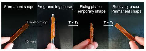 Thermo Responsive Shape Memory Dual Cured Polymers Based On Vegetable Oils