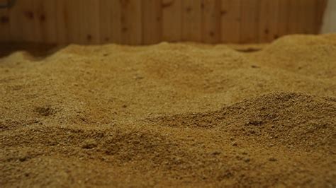 더 라움 테라피 대전 편백 효소 찜질 Theraumtherapy • Instagram Photos And Videos