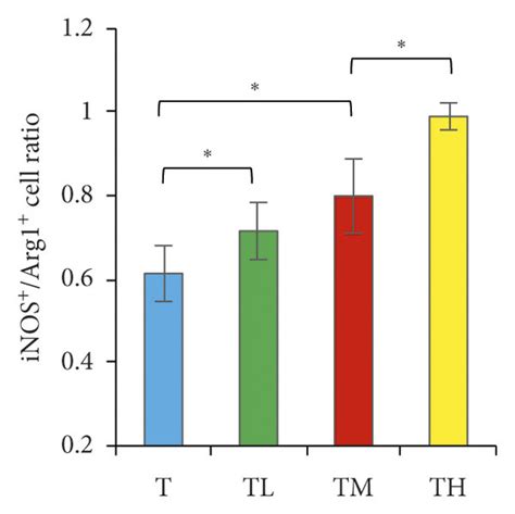 Serum Levels Of Th1 Related Ifn γ A And Th2 Related Il 4 B Download Scientific Diagram
