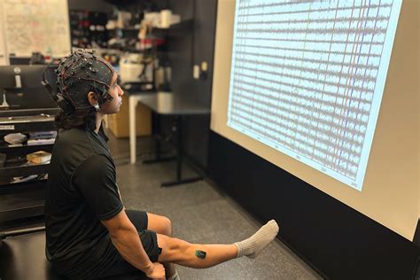 Brain Decoder Controls Spinal Cord Stimulation The Source Washu