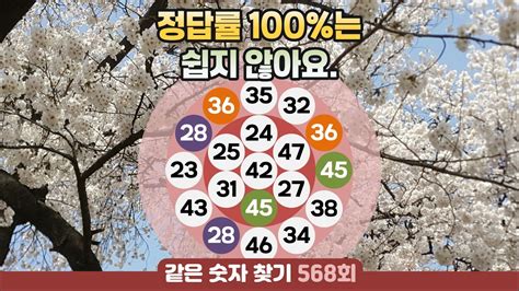같은숫자찾기 568회 정답률 100는 쉽지 않아요 같은숫자찾기 퀴즈 치매예방퀴즈 두뇌활성화 Number