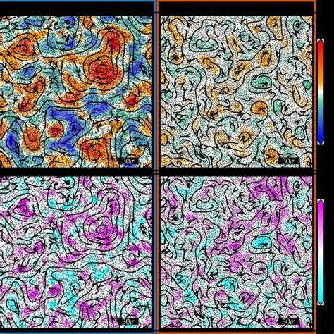 Vorticity And Density Fields Coarse Grained Vorticity And Local Download Scientific Diagram