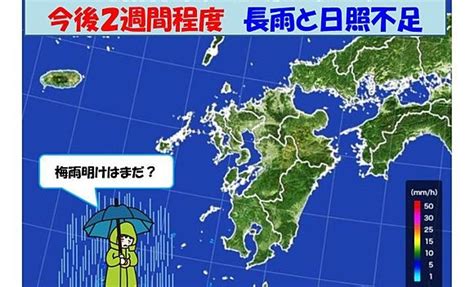 写真・図版（1枚目） 長雨と日照不足続く 九州北部 Aera Dot アエラドット