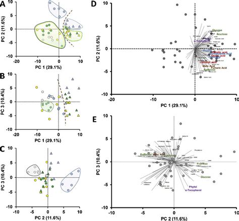 Principal Component Analysis Of Gc Ms Data Obtained With Brachypodium