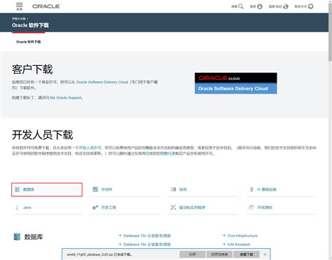 Win10操作系统下oracle11g客户端服务端的下载安装配置卸载总结 夏夜凉凉 博客园