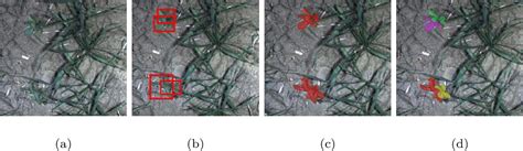 Deep Learning Techniques For In Crop Weed Identification A Review