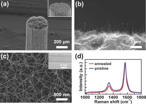 Field Emission Behavior Of Carbon Nanotube Field Emitters After High Temperature Thermal