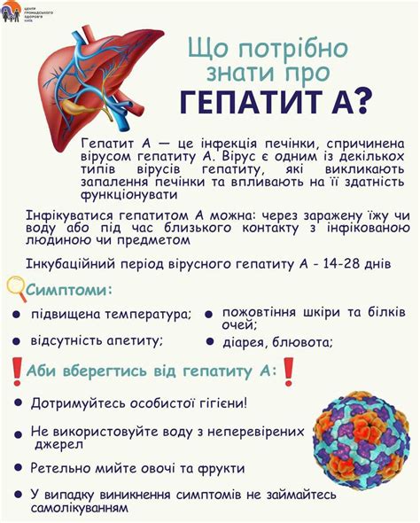 Гепатит А в Украине - Кузин назвал две причины распространения инфекции ...