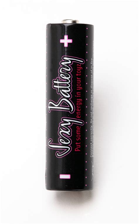 SB Sexy Battery AA Pack Honey S Place