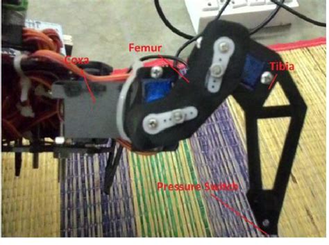Figure 1 From Design And Testing Of Central Pattern Generator Gait Testing Platform For Hexapod