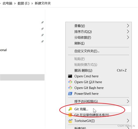 2024年，一文教你简单使用git图形化工具tortoisegit和github的版本控制 csdn博客