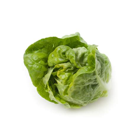 Alface Mini Romana Tudela 100g