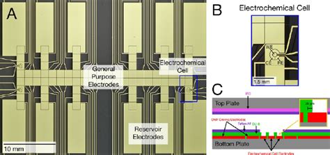 dmf device for integrated voltammetric analysis a picture of a download scientific diagram