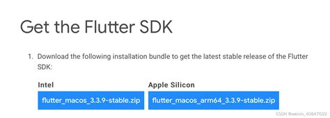 iOS开发 超详细Flutter开发环境搭建