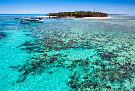 그린 아일랜드 풀데이 크루즈 그레이트 베리어 리프 트래블포레스트