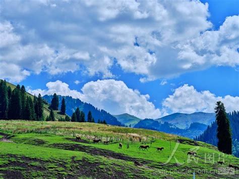 新疆：独库公路沿途风光如画 人民图片网