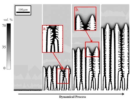 Modeling Of Microstructural Evolution By Freeze Casting Advanced Science News