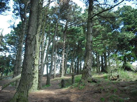 Killiney And Dalkey Hills Dún Laoghaire Rathdown County Council